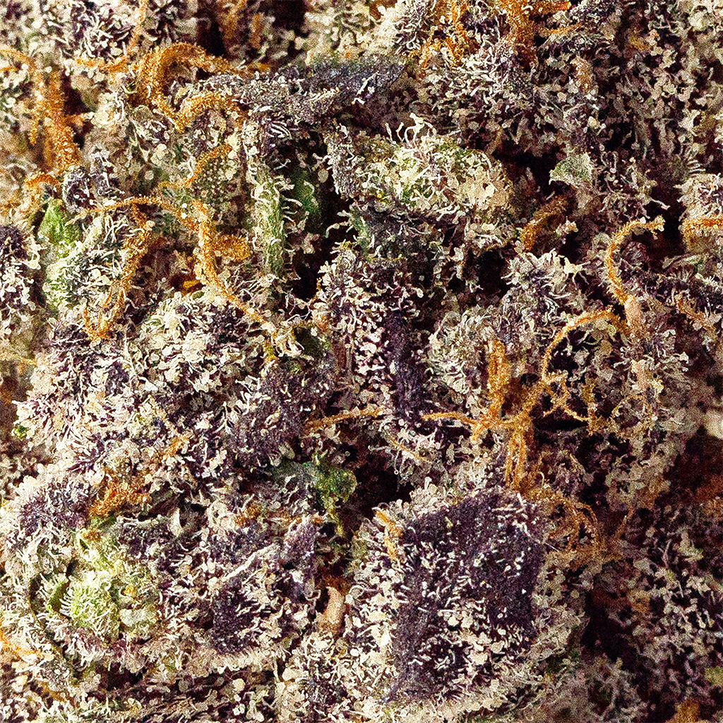 Acaiberry Gelato – Boom World